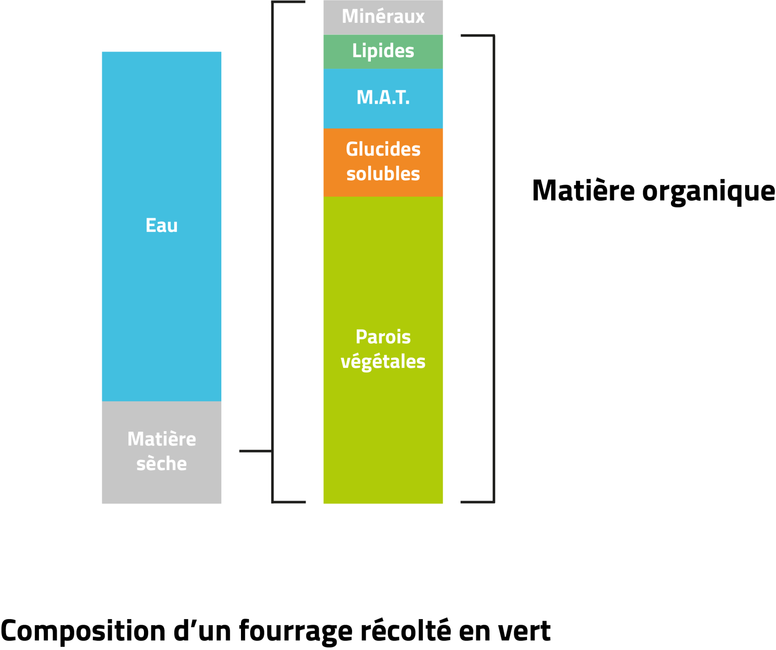 Analyse des fourrages en laboratoire agroalimentaire | Lilano